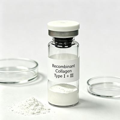 China Barrier Repair Anti Aging Recombinant Collagen I+III for Premium Skincare for sale