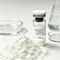 China Anti Aging Recombinant Collagen I+III Dermal Filler Products NMPA Approval for sale