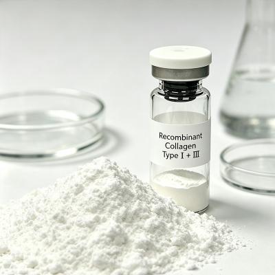 China Anti Aging Recombinant Collagen I+III Dermal Filler Products NMPA Approval for sale