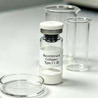 China Skin Barrier Repair and Sensitive Relief | Recombinant Human Collagen Type III Lyophilized Powder for Wound Healing for sale