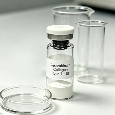 China Skin Barrier Repair and Sensitive Relief | Recombinant Human Collagen Type III Lyophilized Powder for Wound Healing for sale