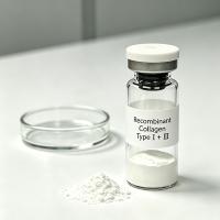 China High-Activity Lyophilization and High-Purification Technology | Recombinant Human Collagen Type I Lyophilized Powder for sale