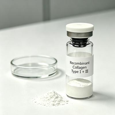 China High-Activity Lyophilization and High-Purification Technology | Recombinant Human Collagen Type I Lyophilized Powder for sale