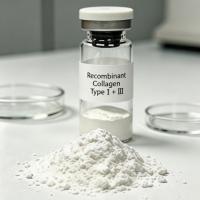 China High-Activity Lyophilization and High-Purification Technology | Recombinant Human Collagen Type I Lyophilized Powder for sale