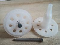 China Common Nail Plastic Insulation Fasteners Hammer-in Installation Method Plastic Fasteners for Effective Insulation Fixing for sale