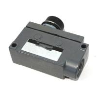 China Industrial Limit Switch SPDT 1NC 1NO Pin Plunger Actuator 125V AC DC PG 13.5mm for sale