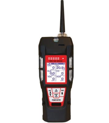 China Riken Keiki GX-6000 GX-8000 Portable Multigas Detector with PID 6 Gas Sample Draw for sale