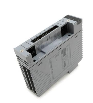 China Yokogawa AAI Series DCS Analog Input Output Module AAI135-H50 AAI143-H53 AAI841-H00 24V for sale