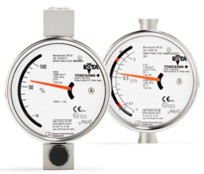China Yokogawa RAKD Metal Variable Area Rotameter 1/2 inch 316SS Horizontal Connections for sale