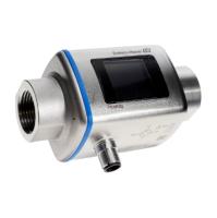 China Endress+Hauser DMA20-AAACA1 Picomag Liquid Flow Meter, Magnetic-inductive for sale