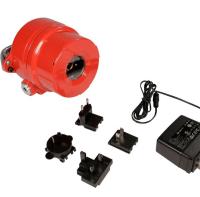 China Original and New FS24X FS20X Series Detectors FS20X-211-24-3 FS20X-211-23-3 WiTH Good Price for sale