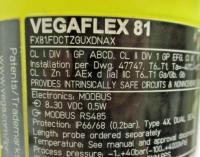 China vega VEGAFLEX 81 TDR sensor for continuous level and interface measurement of liquids ,FX81.ACSBVLHXADAX for sale