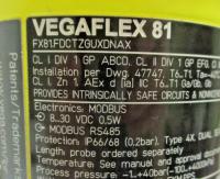 China vega VEGAFLEX 81 TDR sensor for continuous level and interface measurement of liquids ,FX81.ACSBVLHXADAX for sale