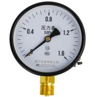 China CCC Y100 Radial Pressure Gauge 100mm M20×1.5 Copper Joint Iron Shell 0-60 MPa Range ±1.6% Accuracy for sale