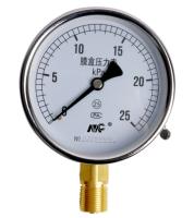 China YE-100 Stainless Steel Bellows Pressure Gauge IP65 -1KPa to 205KPa Range 100mm Dial for sale