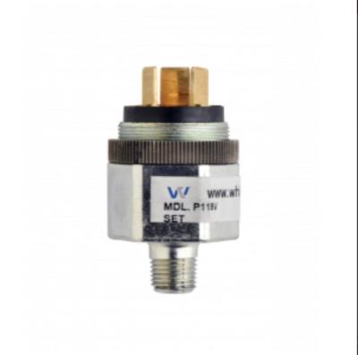 China Whitman Controls P119G-10H-C12L Miniature Float Level Switch 5 Amps 750 PSIG Pressure Sensor for sale