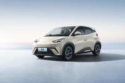 China 5 Door 4 Seater BYD Electric Car Hatchback Seagull Single Speed Automatic Transmission for sale