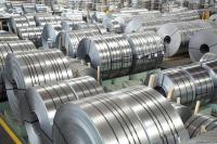 China Full Hard Carbon Stainless Steel Strip Rustpoof Custom Edge Treatment for sale