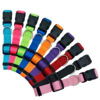 China Nylon Dog Collar with 0.1kg Weight in S/M/L Sizes - Multiple Colors & Custom Options for sale