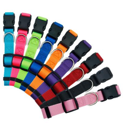 China Nylon Dog Collar with 0.1kg Weight in S/M/L Sizes - Multiple Colors & Custom Options for sale
