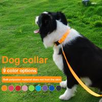China Nylon Dog Collar with 0.1kg Weight in S/M/L Sizes - Multiple Colors & Custom Options for sale