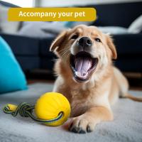 China 7cm 9cm EVA Floating Foam Dog Ball with Rope - Waterproof Chew Toy for Interactive Play for sale