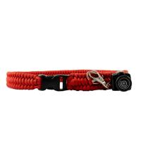 China Polyester USB Cat Tracking Collar With Camera 58cm Length 2.5cm Camera Wireless Digital Pet Monitoring for sale