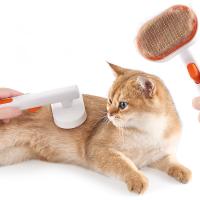 China Pet Self-Cleaning Brush 20×9.5×7cm with One-Button Hair Removal for Dogs and Cats for sale