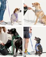 China Neoprene Dog Leash & Collar Combo Set - Waterproof Adjustable XS/S/M/L/XL Sizes with Soft PVC Material for sale