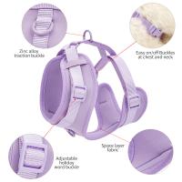 China Neoprene Dog Leash & Collar Combo Set - Waterproof Adjustable XS/S/M/L/XL Sizes with Soft PVC Material for sale