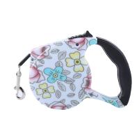 China 5 Meter Retractable Dog Leash with 1.2cm Nylon Rope - 6 Color Options and Adjustable Slip Design for sale