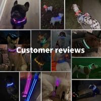China Waterproof LED Dog Collar with USB-C Charging - Adjustable XS to XL Sizes in 6 Colors for sale