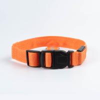 China Waterproof LED Dog Collar with USB-C Charging - Adjustable XS to XL Sizes in 6 Colors for sale