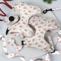 China Custom Polyester Dog Harness Set with Adjustable Mesh Design - 100 Pcs MOQ, 7-10 Day Delivery for sale