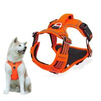 China Nylon Dog Harness with Control Handle - 0.3kg Weight, S/M/L Sizes, Reflective No-Pull Design for Training Safety for sale