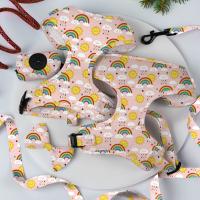 China Custom Polyester Dog Harness Set with Adjustable Mesh Design - 100 Pcs MOQ, 7-10 Day Delivery for sale