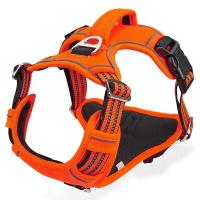 China Nylon Dog Harness with Control Handle - 0.3kg Weight, S/M/L Sizes, Reflective No-Pull Design for Training Safety for sale