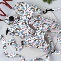 China Custom Polyester Dog Harness Set with Adjustable Mesh Design - 100 Pcs MOQ, 7-10 Day Delivery for sale