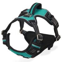 China Nylon Dog Harness with Control Handle - 0.3kg Weight, S/M/L Sizes, Reflective No-Pull Design for Training Safety for sale