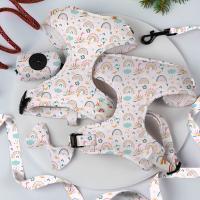 China Custom Polyester Dog Harness Set with Adjustable Mesh Design - 100 Pcs MOQ, 7-10 Day Delivery for sale