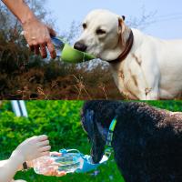 China Leakproof Silicone Portable Dog Water Bottle 8.5×20cm with 4 Color Options for Outdoor Travel and Hiking for sale