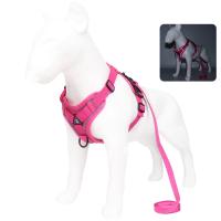 China Breathable Mesh Dog Harness with Reflective Strips - Adjustable S/M/L/XL Sizes for Outdoor Activities for sale