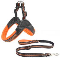 China Black Blue PU Dog Harness Leash Set - 4 Size Options XS S M L with Reflective Safety Strips and POM Buckle for sale