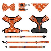 China Custom Nylon Dog Collar and Leash Set - Adjustable XS to XL Sizes, 100 Pcs MOQ, Reflective Safety Design for sale