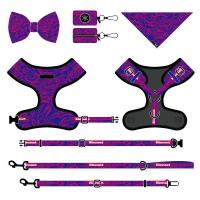 China Custom Nylon Dog Collar and Leash Set - Adjustable XS to XL Sizes, 100 Pcs MOQ, Reflective Safety Design for sale