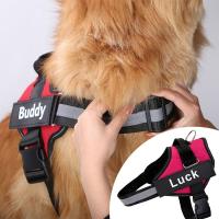 China XS-XXL Nylon Dog Harness with No-Pull Design and Reflective Safety Strips - 50 Piece MOQ for sale