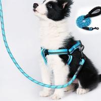 China 5ft Reflective Nylon Dog Leash 150cm 200cm with Zinc Alloy Hardware and Foam Handle for sale