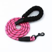 China 5ft Reflective Nylon Dog Leash 150cm 200cm with Zinc Alloy Hardware and Foam Handle for sale