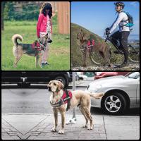 China XS-XXL Nylon Dog Harness with No-Pull Design and Reflective Safety Strips - 50 Piece MOQ for sale