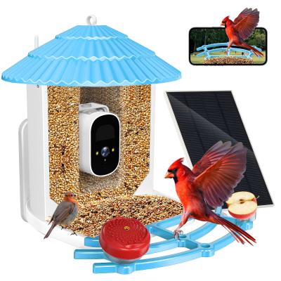 China IP66 Waterproof 4MP Smart Bird Feeder with 2.5L Capacity and Solar Panel for Wildlife Monitoring for sale